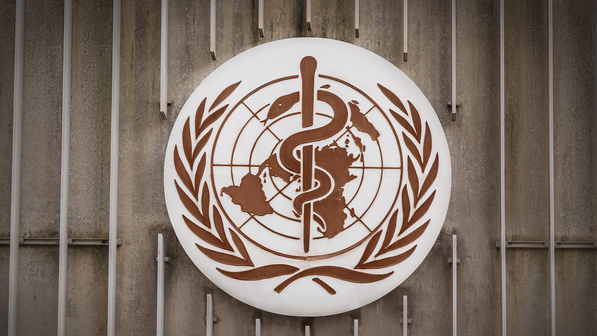 NCDs: WHO matters? | MHP Group